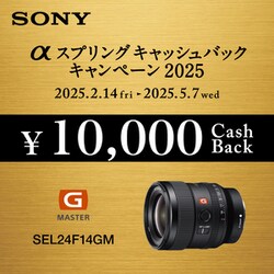 ヨドバシ.com - ソニー SONY SEL24F14GM FE 24mm F1.4 GM [単 ヨドバシ.com - ソニー SONY SEL24F14GM FE 24mm F1.4 GM [単