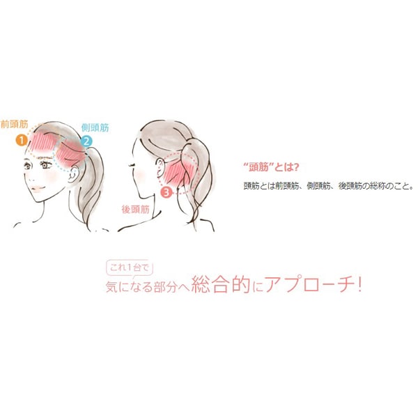 限定品通販 myse ミーゼMS-82W-1 [スカルプリフト プラス ポーチセット EMS美顔器] 理美容家電