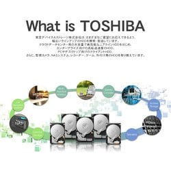 ヨドバシ.com - 東芝 TOSHIBA 東芝DT02シリーズ 3.5インチ 2TB ヨドバシ.com - 東芝 TOSHIBA 東芝DT02シリーズ 3.5インチ 2TB