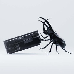 ヨドバシ.com - ナッシング Nothing 完全ワイヤレスイヤホン Ear ヨドバシ.com - ナッシング Nothing 完全ワイヤレスイヤホン Ear