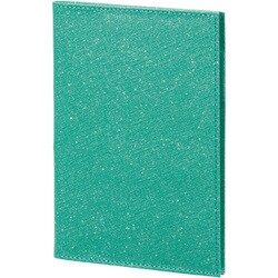 ヨドバシ.com - レイメイ藤井 Raymay Fujii 2024年 シャイニーラメダイアリーA6 グリーン RFD2422M 通販【全品無料配達】