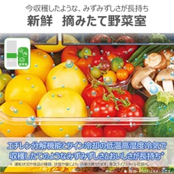 ヨドバシ.com - 東芝 TOSHIBA 冷蔵庫 VEGETA(ベジータ) GSH ヨドバシ.com - 東芝 TOSHIBA 冷蔵庫 VEGETA(ベジータ) GSH